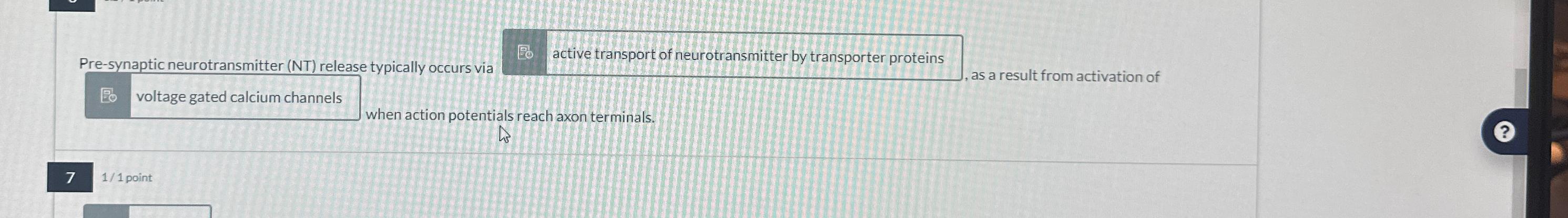 Solved Pre-synaptic neurotransmitter (NT) ﻿release typically | Chegg.com