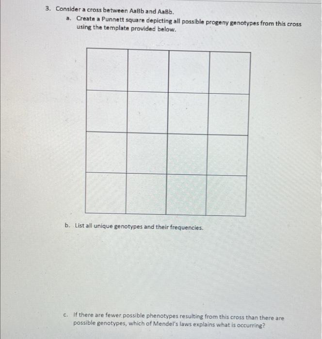 Solved Basic Genetics - Review Punnett Squares \& Pedigrees | Chegg.com