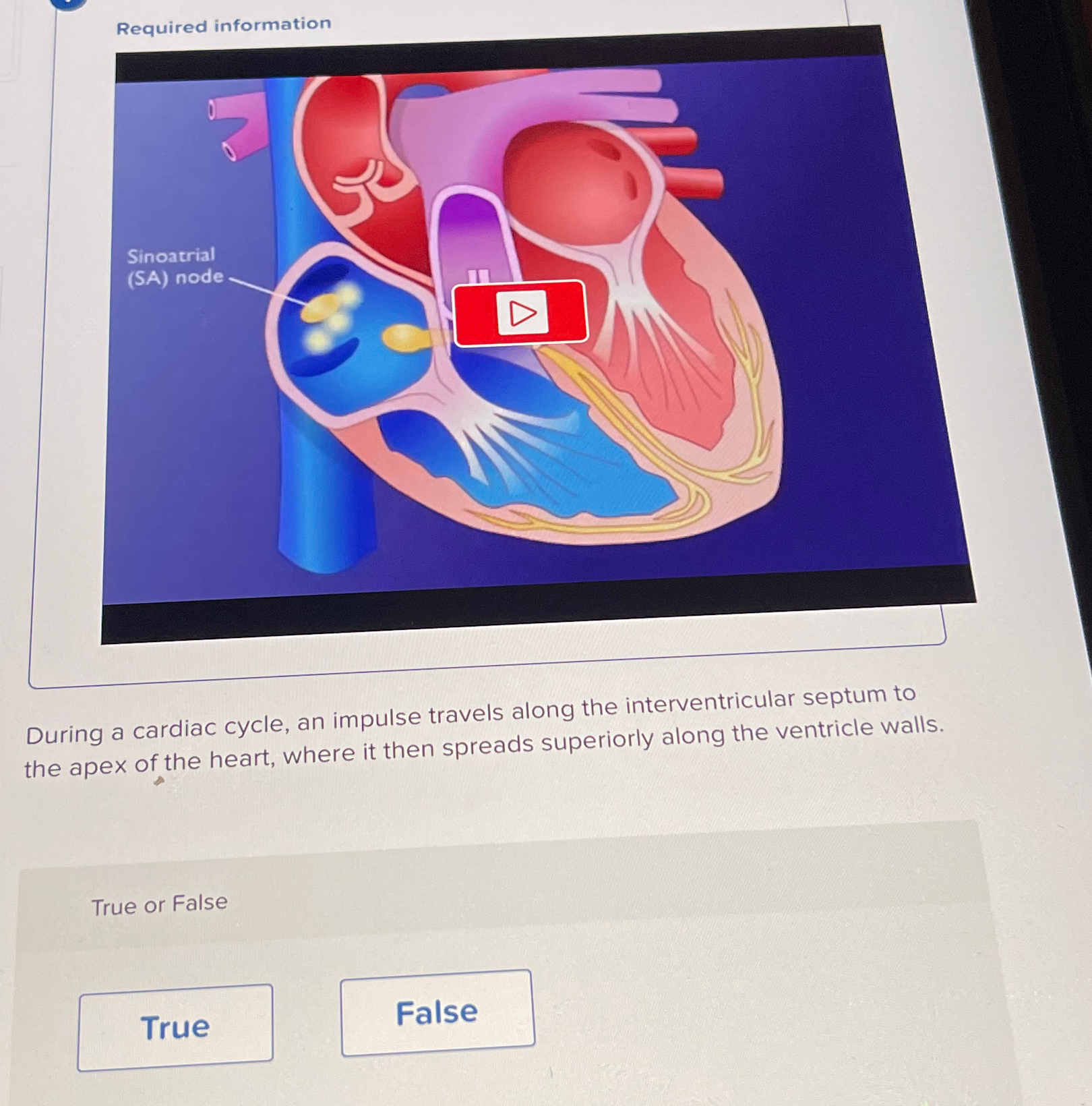 Solved Required informationDuring a cardiac cycle, an | Chegg.com