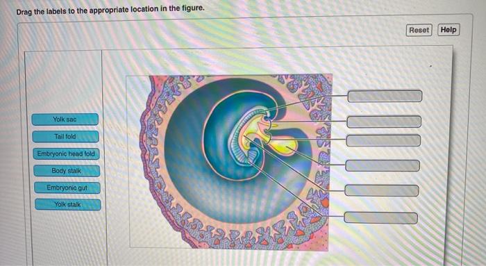 Solved Drag the labels to identify the components of the | Chegg.com