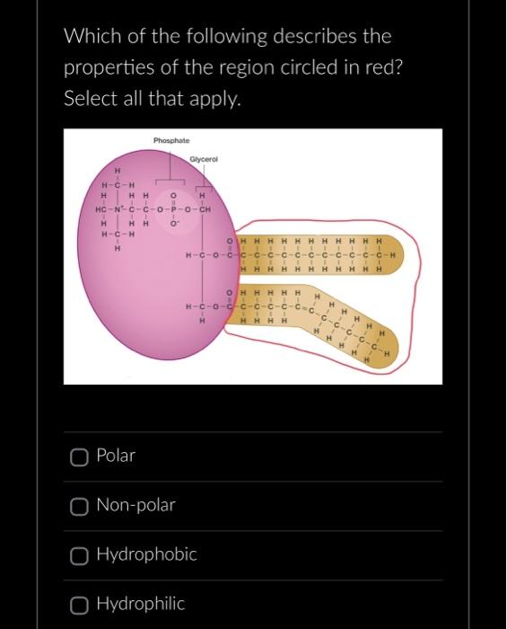 Solved Which of the following describes the properties of | Chegg.com