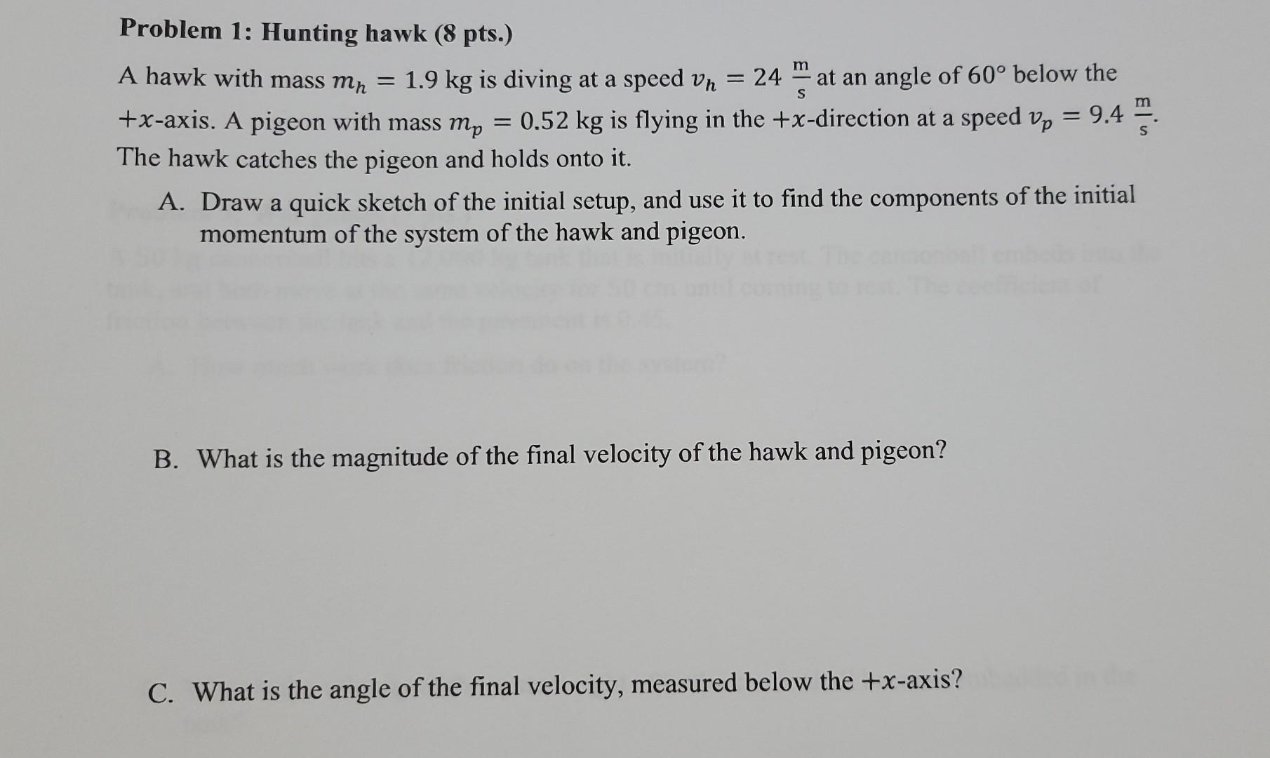 Solved Problem 1: Hunting hawk (8 pts.) A hawk with mass | Chegg.com