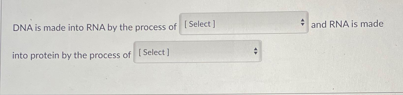 Solved DNA is made into RNA by the process of and RNA is | Chegg.com