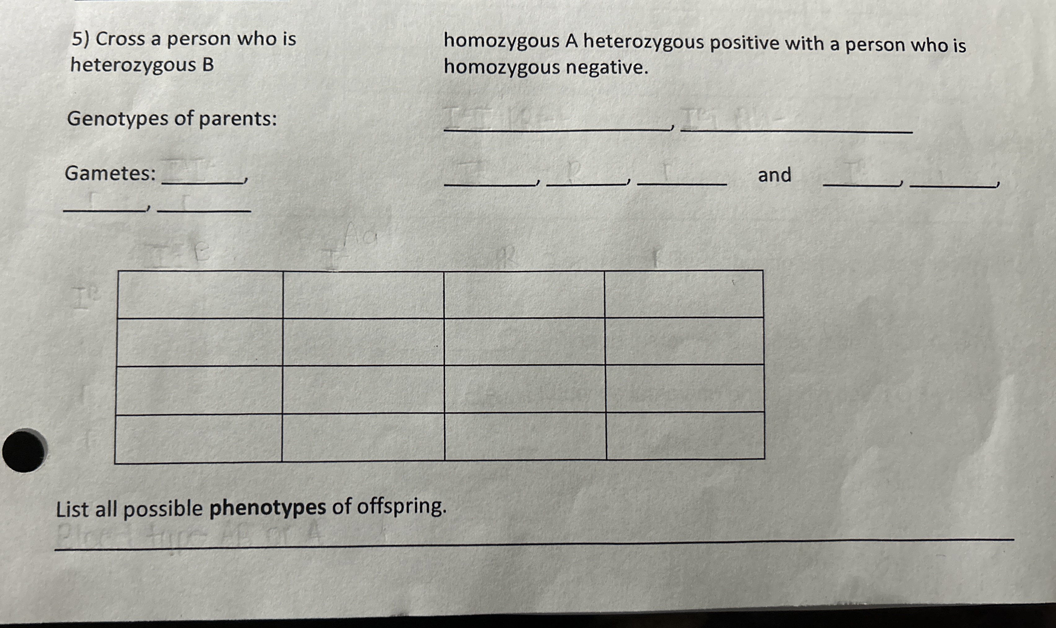 Solved Cross a person who is heterozygous BGenotypes of | Chegg.com