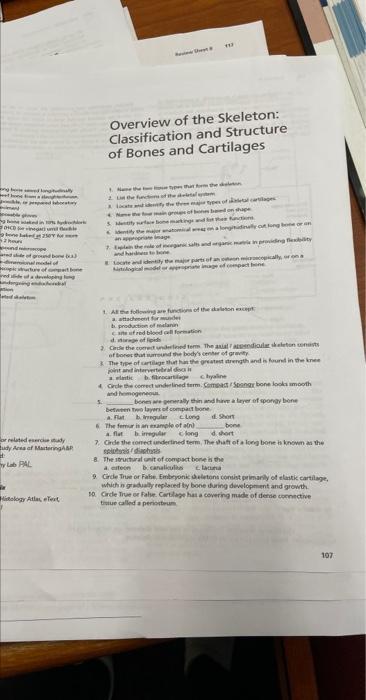 Overview of the Skeleton: Classification and Structur | Chegg.com