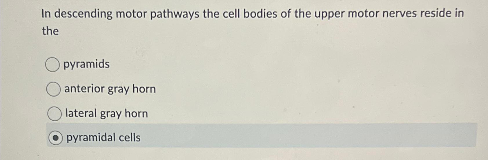 Solved In descending motor pathways the cell bodies of the | Chegg.com