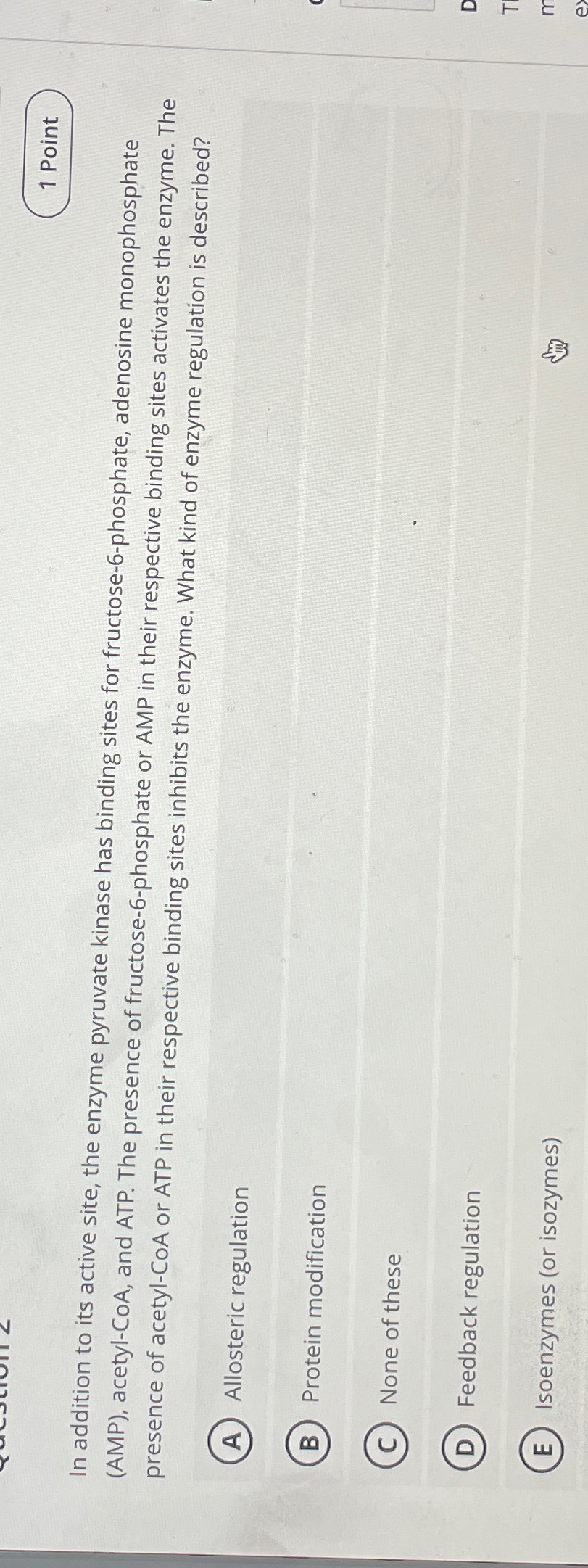 Solved In addition to its active site, the enzyme pyruvate | Chegg.com