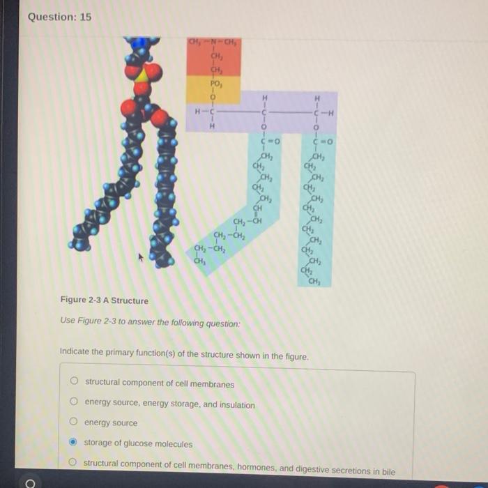 Solved Question: 15 Figure 2-3 A Structure Use Figure 2.3 to | Chegg.com