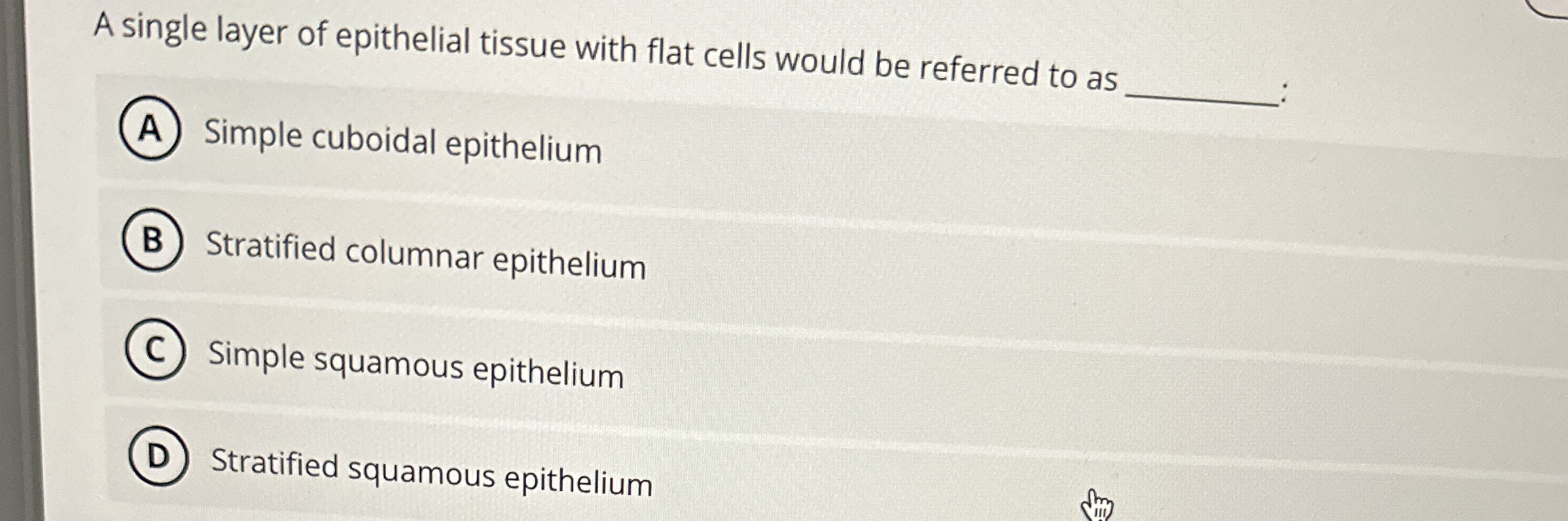 Solved A single layer of epithelial tissue with flat cells | Chegg.com