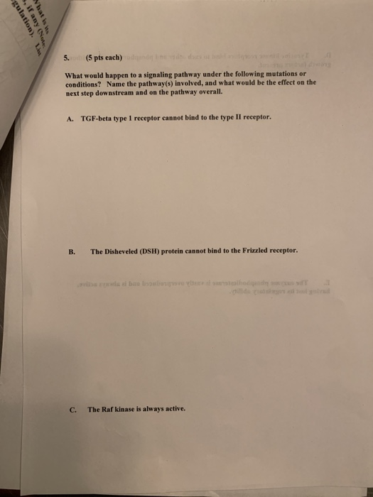 Solved If any (No gulation). Lima What is its 5. (5 pts | Chegg.com