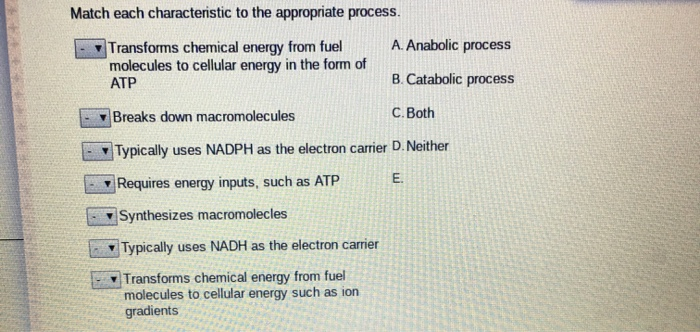 Solved Match each characteristic to the appropriate process. | Chegg.com