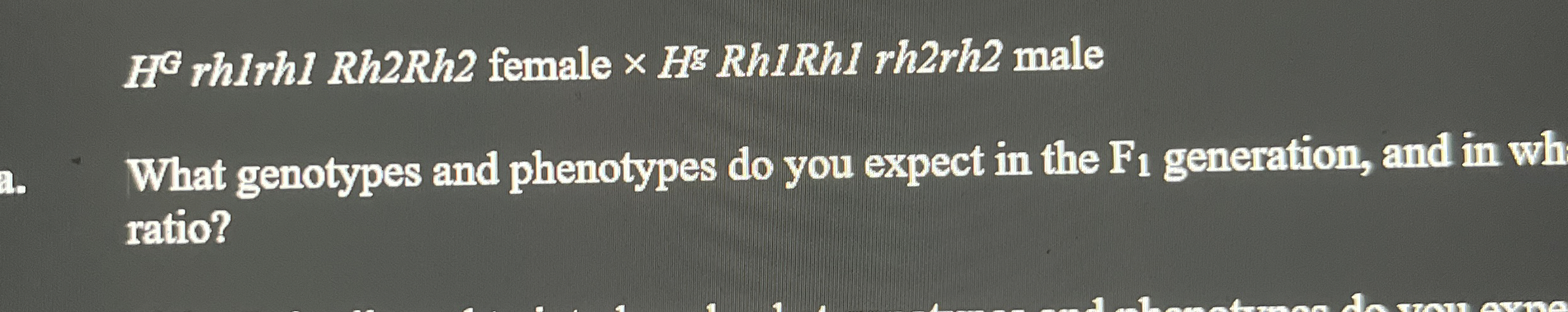 Solved HG ﻿rhIrh1 ﻿Rh2Rh2 ﻿female ×HERh1Rh1 ﻿rh2rh2 | Chegg.com | Chegg.com