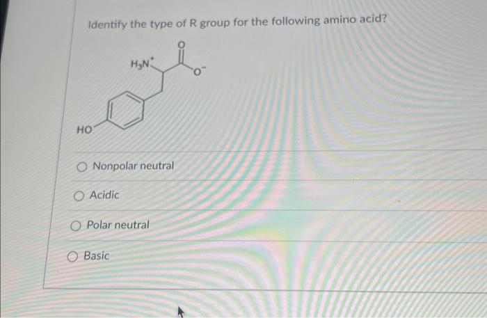 Solved Identify the type of R group for the following amino | Chegg.com