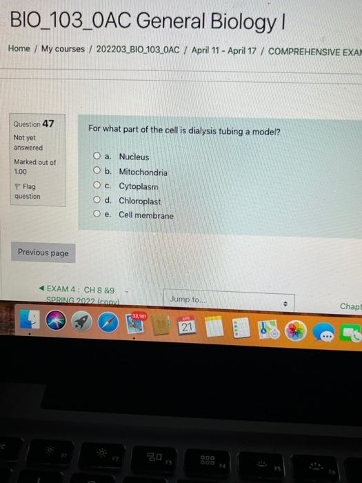 Solved BIO_103_OAC General Biology! Home / My courses / | Chegg.com