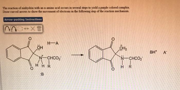 Solved The reaction of ninhydrin with an a-amino acid occurs | Chegg.com