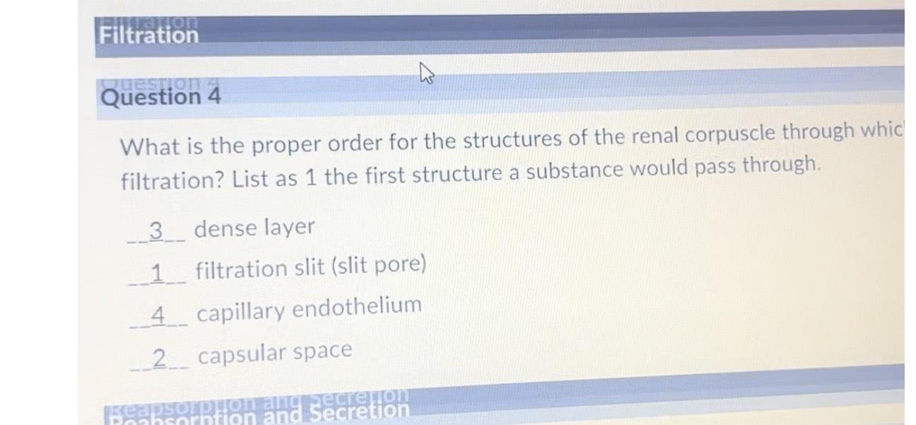 Solved FiltrationQuestion 4What is the proper order for the | Chegg.com