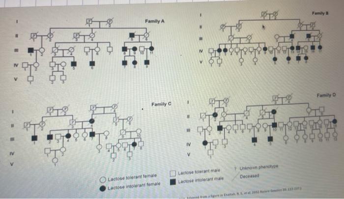Solved Look in Family B at Individual 4, Generation IV. | Chegg.com