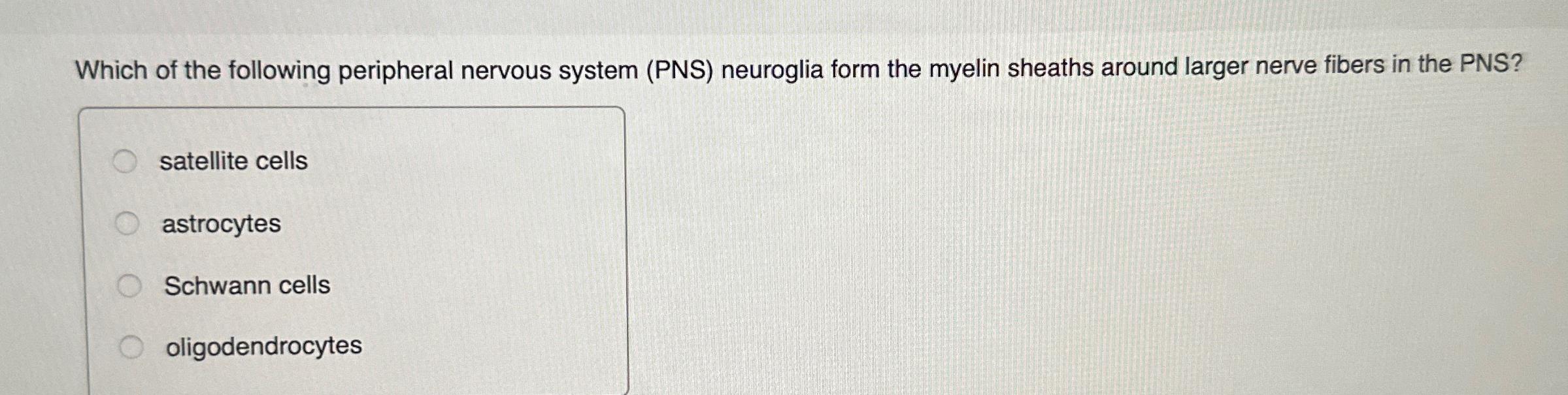 Solved Which of the following peripheral nervous system | Chegg.com