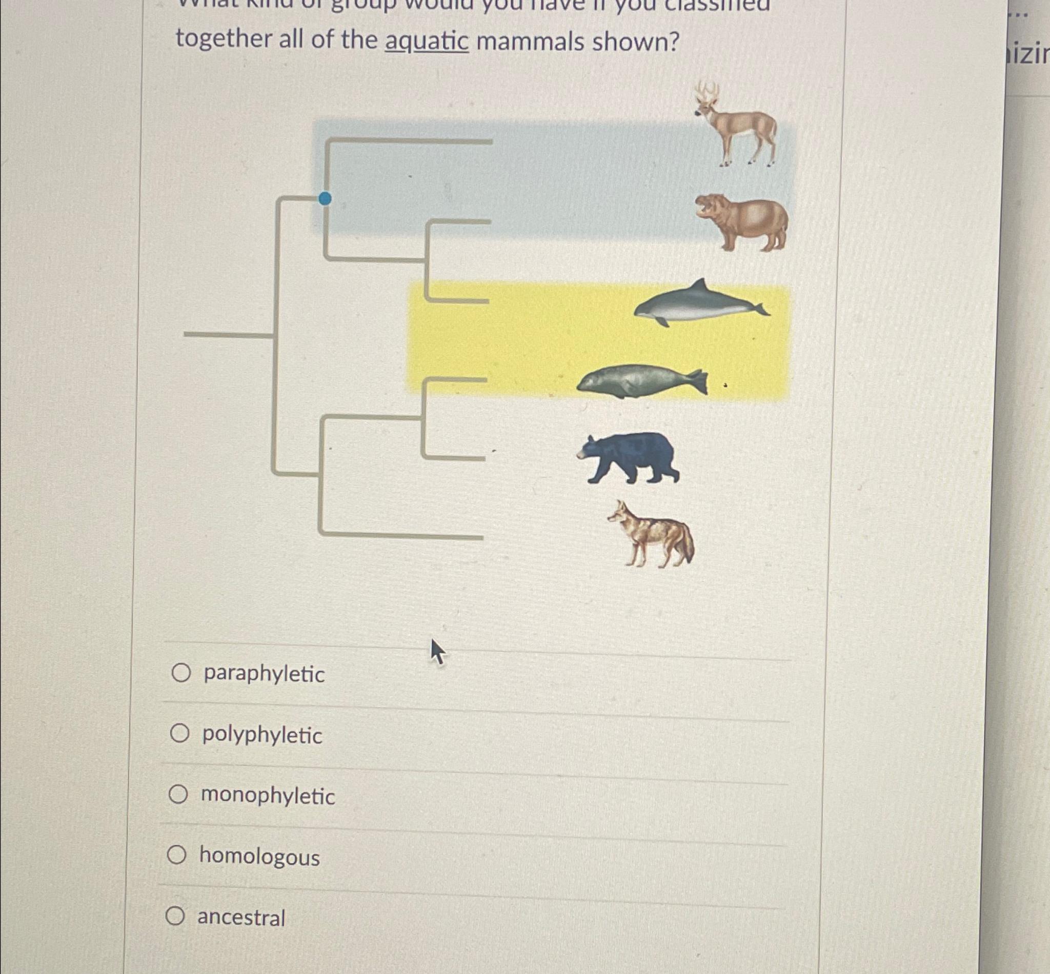 Solved together all of the aquatic mammals | Chegg.com