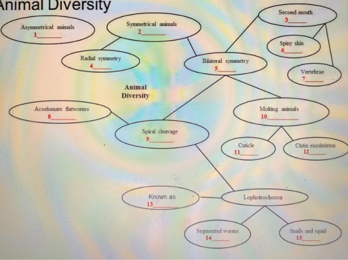 Solved Animal Diversity Second mouth Asymmetrical animals | Chegg.com