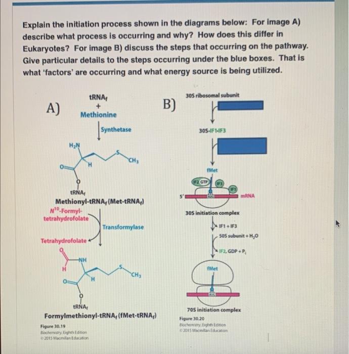 Solved Explain the initiation process shown in the diagrams | Chegg.com