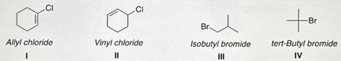 Solved Allyl chloride Vinyl chloride Isobutyl bromide | Chegg.com