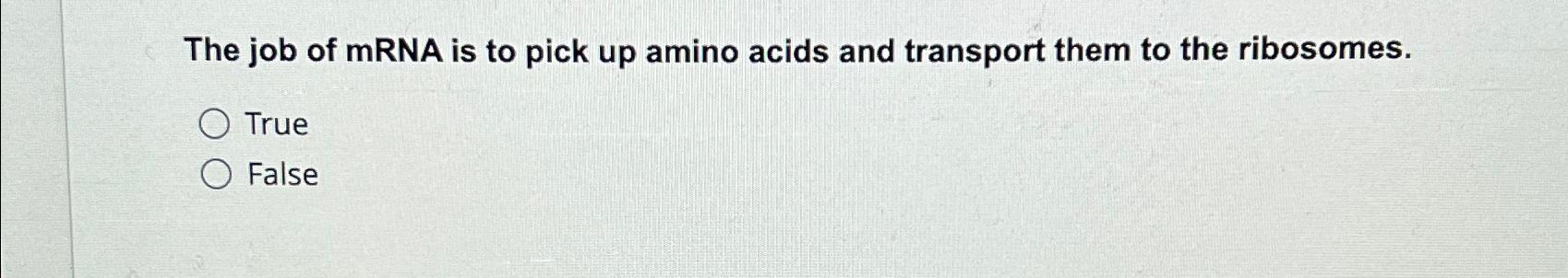 Solved The job of mRNA is to pick up amino acids and | Chegg.com