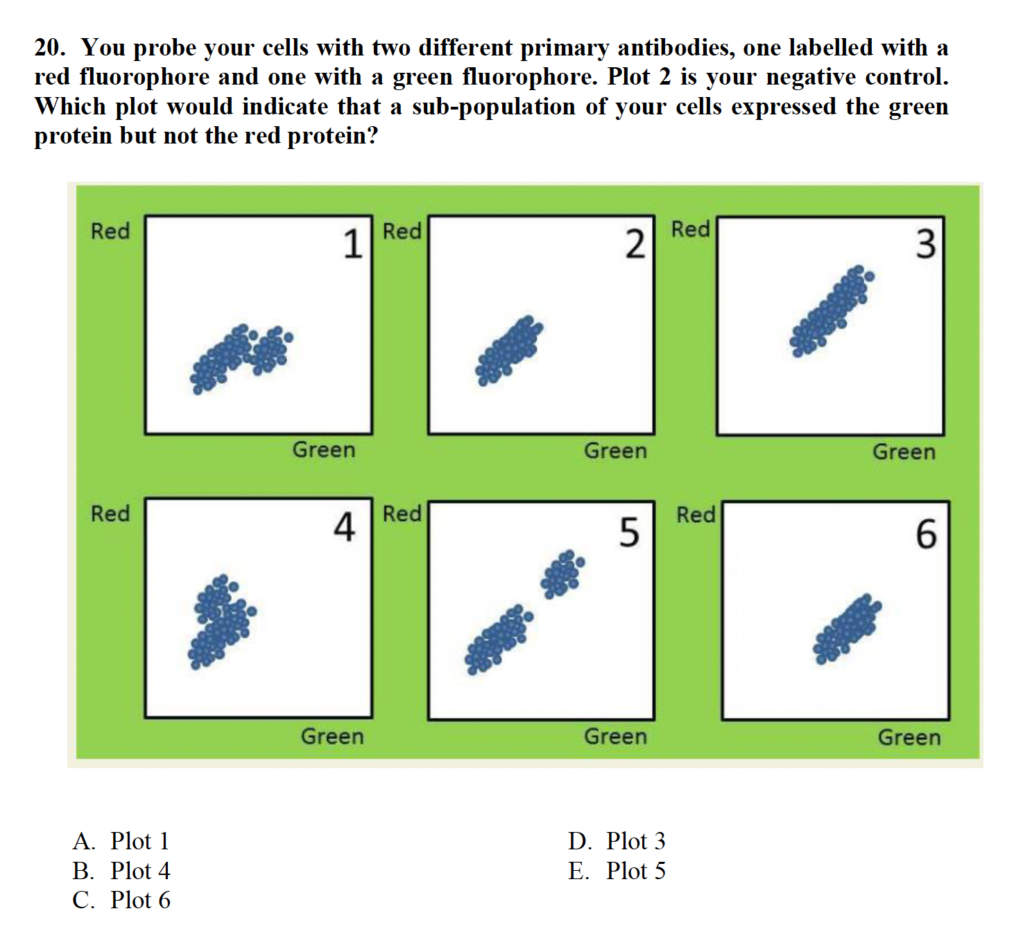 Solved You probe your cells with two different primary | Chegg.com