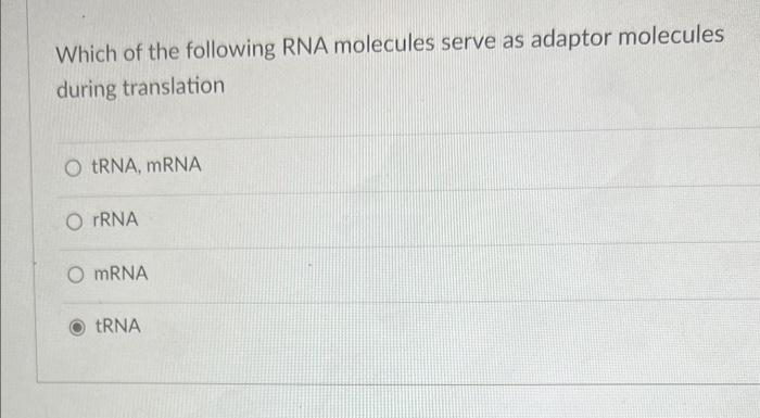 Solved Which of the following RNA molecules serve as adaptor | Chegg.com
