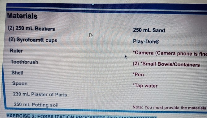Table 1. Shell Measurements Measurement Original | Chegg.com