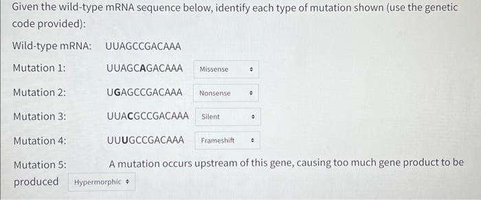 Solved Given the wild-type mRNA sequence below, identify | Chegg.com