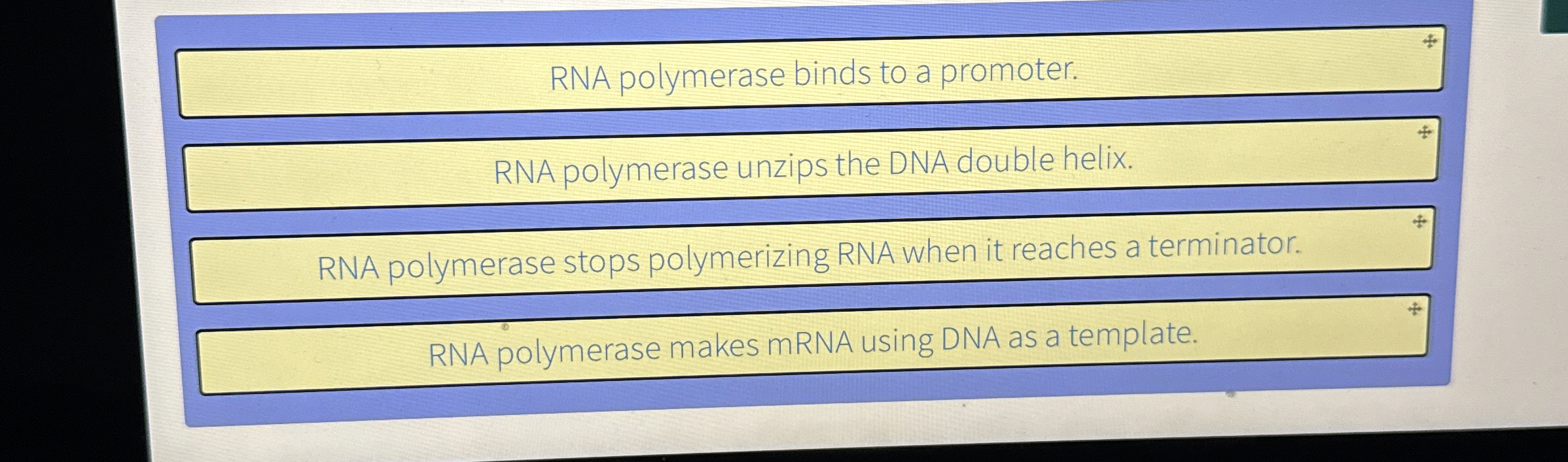 Solved RNA polymerase binds to a promoter.RNA polymerase | Chegg.com