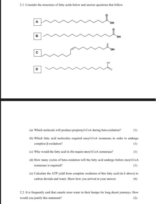 Solved (a) Which molecule will produce propionyl-CaA during | Chegg.com