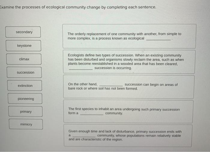 Solved Classify each description into the correct category | Chegg.com