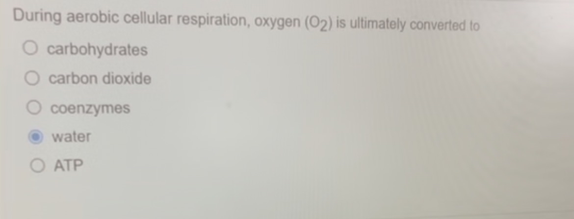 Solved During aerobic cellular respiration, oxygen (O2) ﻿is | Chegg.com