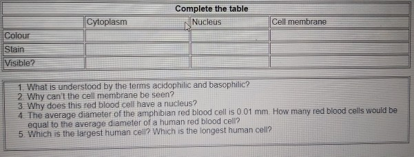 Solved Slide 21: Amphibian blood HE This specimen serves as | Chegg.com
