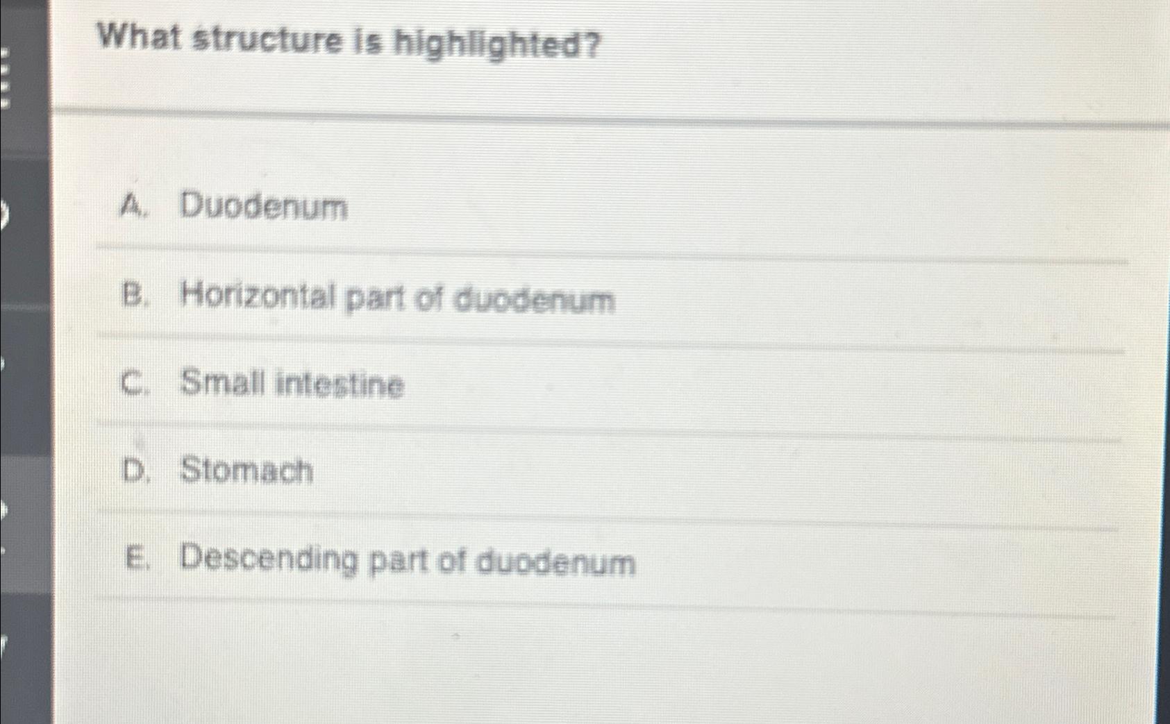 Solved What structure is highlighted?A. ﻿DuodenumB. | Chegg.com