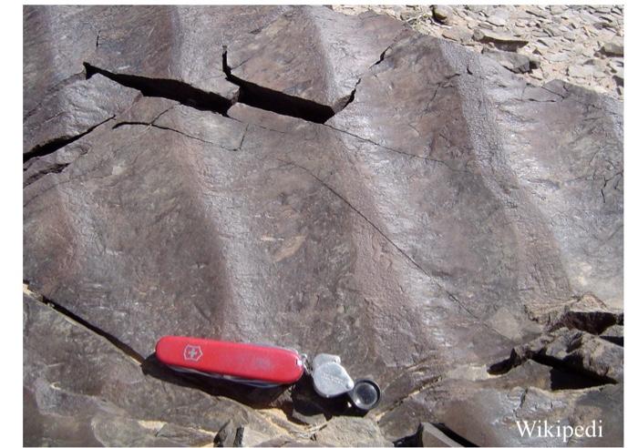 Solved 1. Identify the following bedforms and briefly | Chegg.com Solved 1. Identify the following bedforms and briefly | Chegg.com