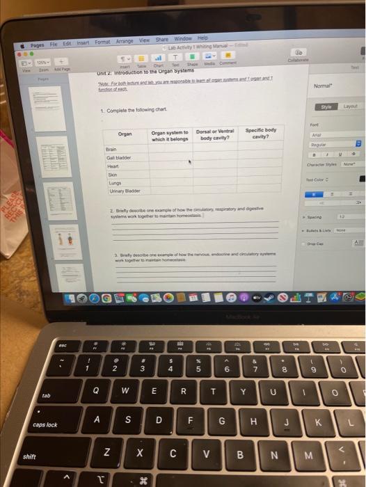 Solved Pages Fedit Inart Format Arrange ViewShare Window Log | Chegg.com