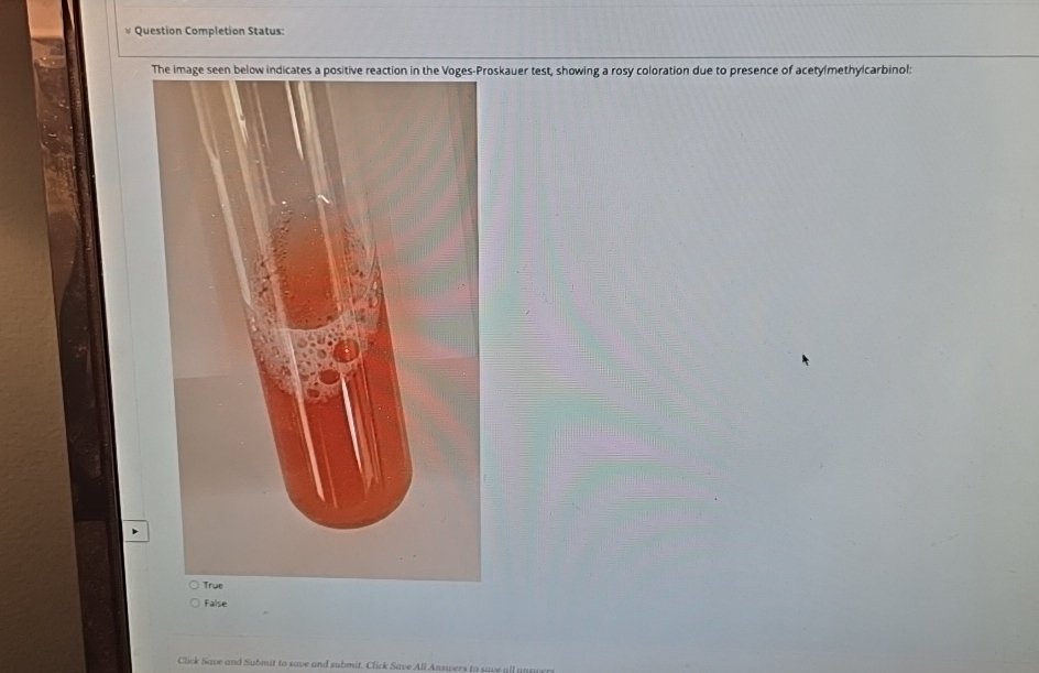 Solved Question Completion Status:The image seen below | Chegg.com