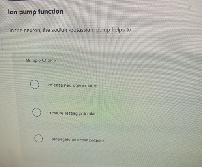 Solved Ion pump function In the neuron, the sodium-potassium | Chegg.com