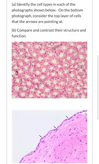 Solved (a) Identify the cell types in each of the | Chegg.com