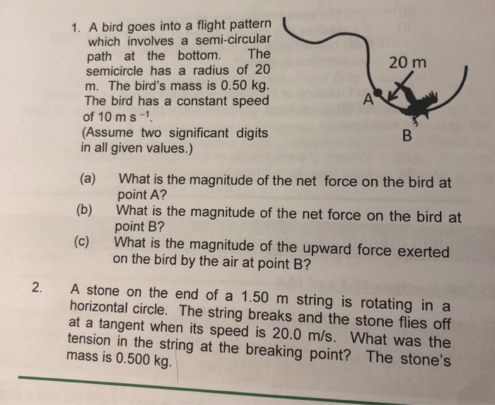 Solved 20 m 1. A bird goes into a flight pattern which | Chegg.com