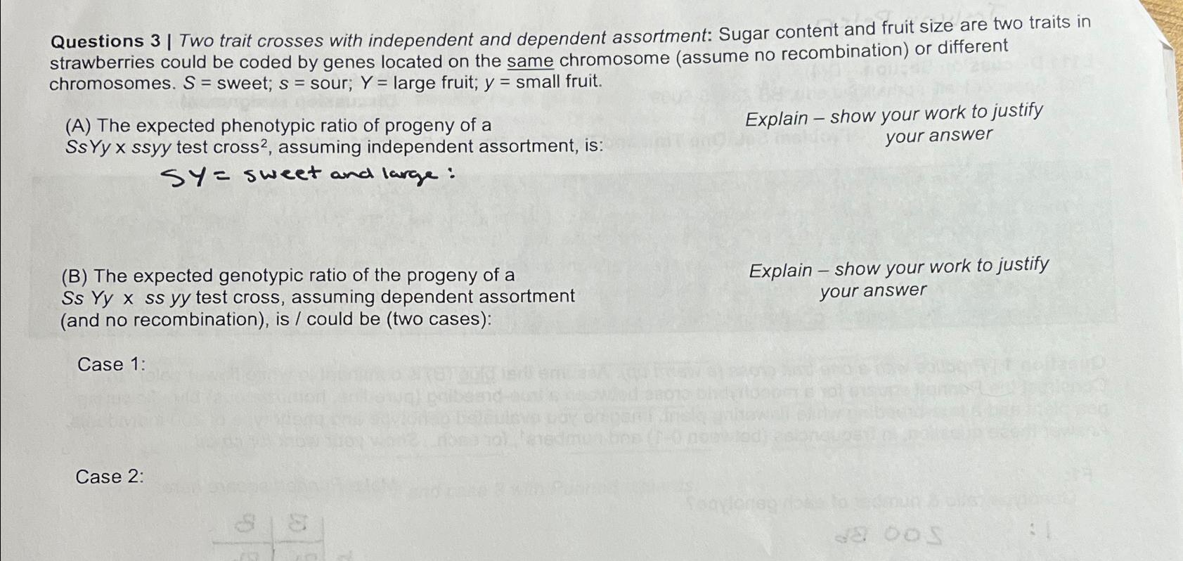 Solved Questions 3| ﻿Two trait crosses with independent and | Chegg.com