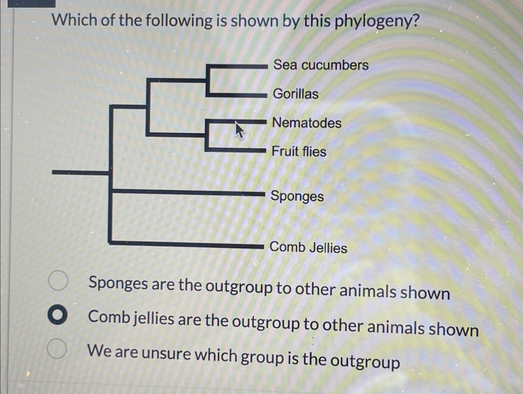Solved Which of the following is shown by this | Chegg.com