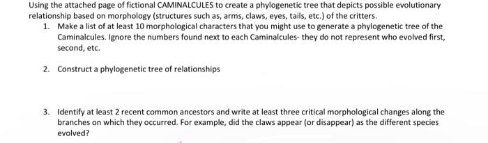 Solved Using the attached page of fictional CAMINALCULES to | Chegg.com
