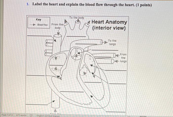 Solved 1. Label the heart and explain the blood flow through | Chegg.com