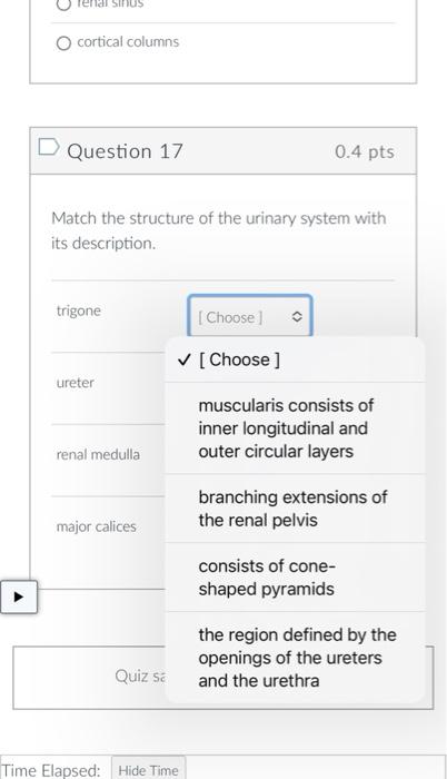 Solved Match the structure of the urinary system with its | Chegg.com