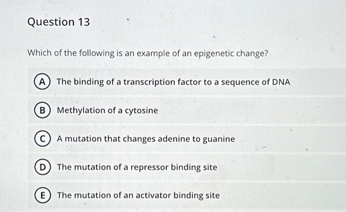 Solved Which of the following is an example of an epigenetic | Chegg.com