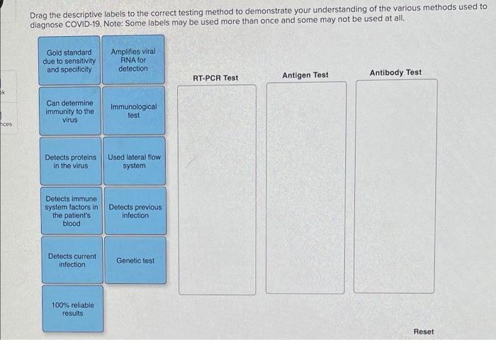 Solved Drag the descriptive labels to the correct testing | Chegg.com